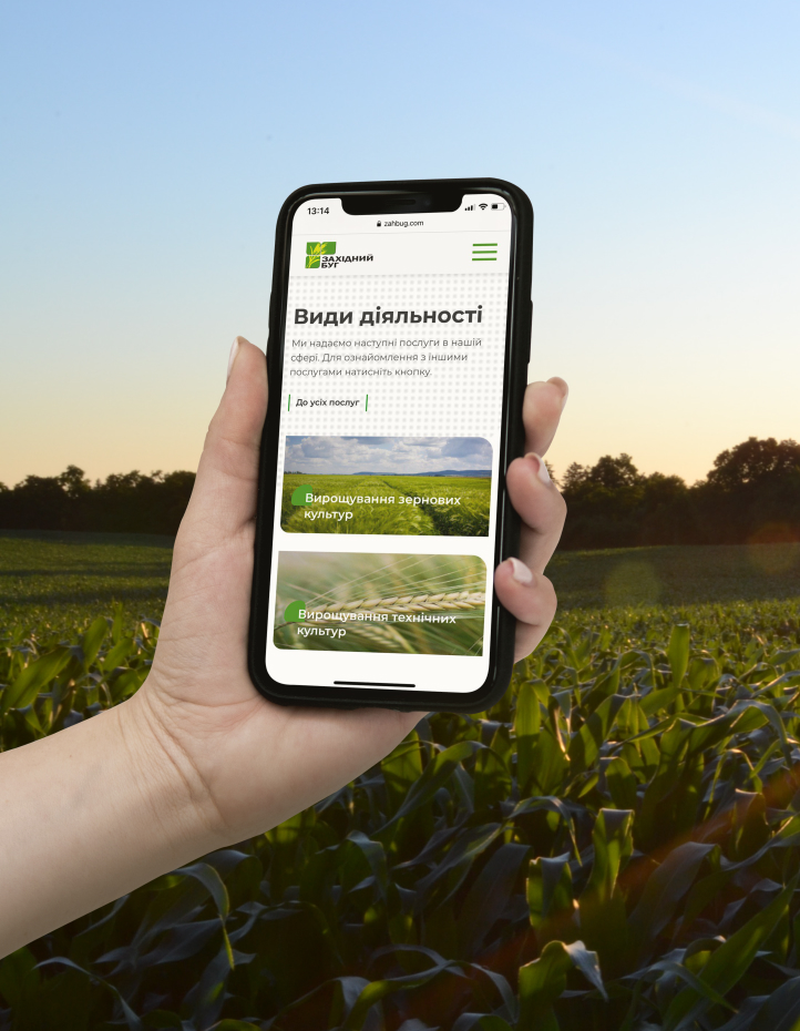 Case Studies Archive | GTM Plus